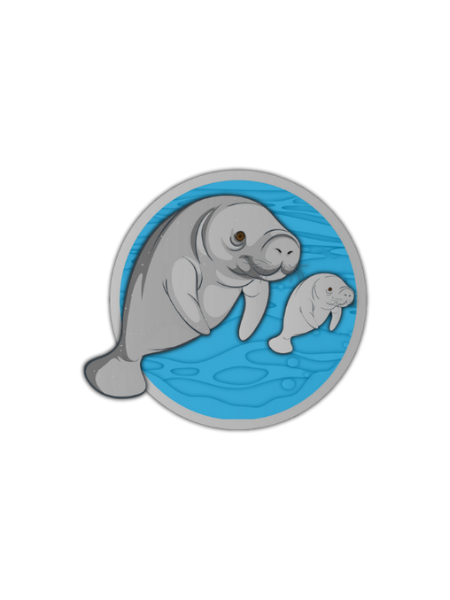 Manatees | Race | Yes.Fit
