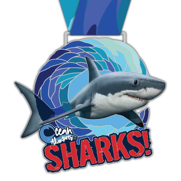 Sharks: Ocean Adventures | Race | Yes.Fit